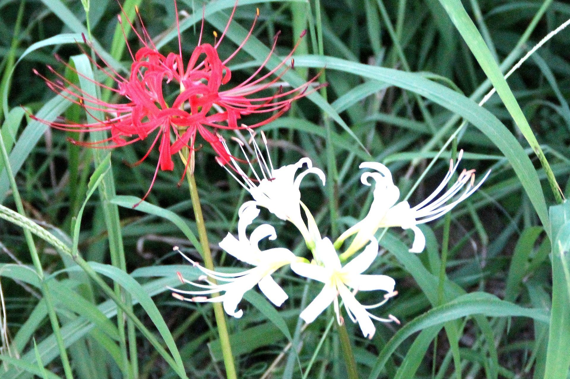 アンダンテ・ウォーク日記（2022年9月 NO.2） : 昨日・今日・明日