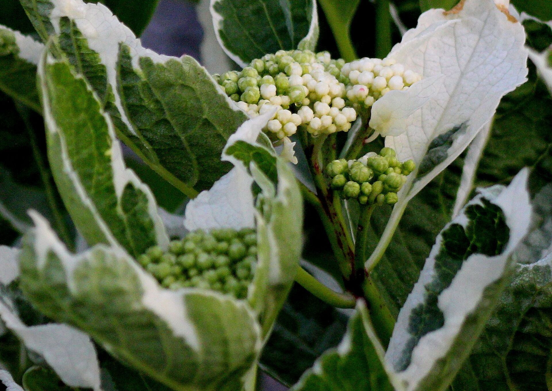 アンダンテ・ウォーク日記（ 2024年5月 NO.1 ）: 昨日・今日・明日